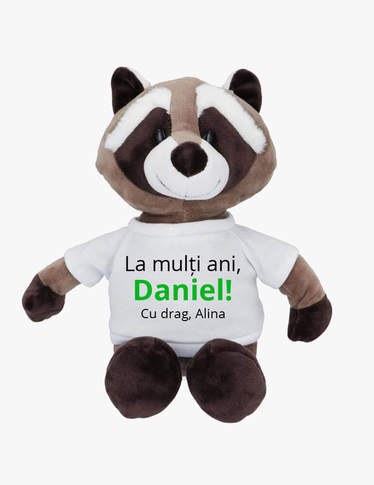 Raton de pluș personalizat cu texte si imagini proprii, livrare rapidă ...