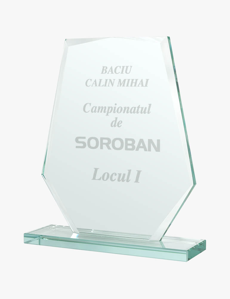 Tricouri personalizate, tricouri cu poză si inscriptionate ...